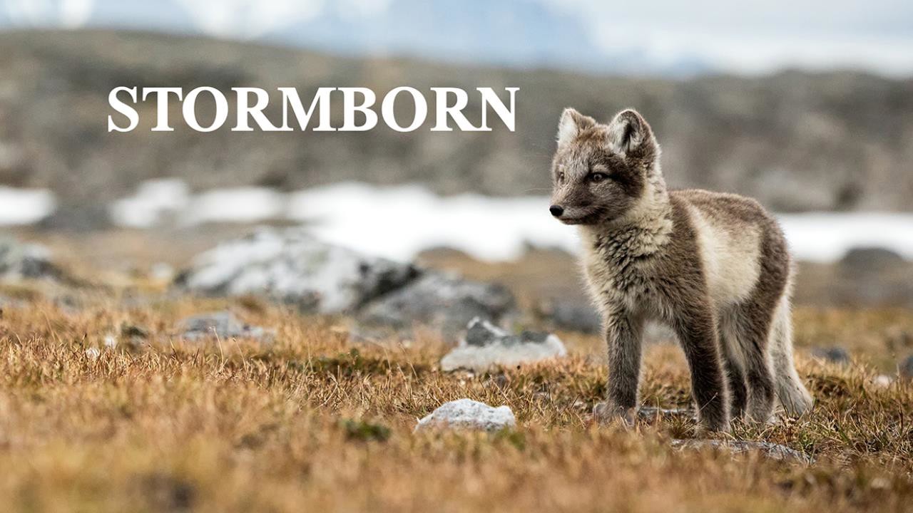 Stormborn - Airs 7:00 PM 30 Jan 2021 on BBC TWO - ClickView