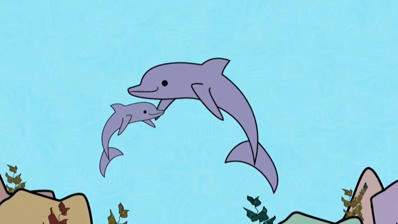 Here is a Dolphin Video & Resources | ClickView
