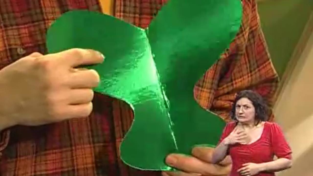 The Number Crew Videos & Worksheets | ClickView