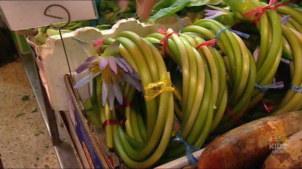 Play School - How Many? Video & Resources | ClickView