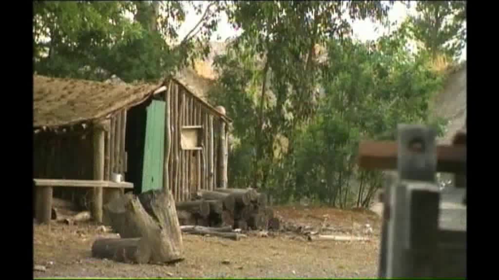 Clip: Discovery of gold in Bathurst - In this... - ClickView