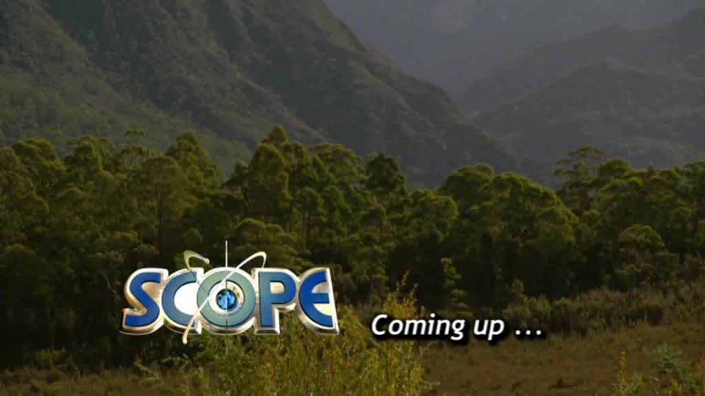 Clip: Scope - How plants support all life on earth - ClickView