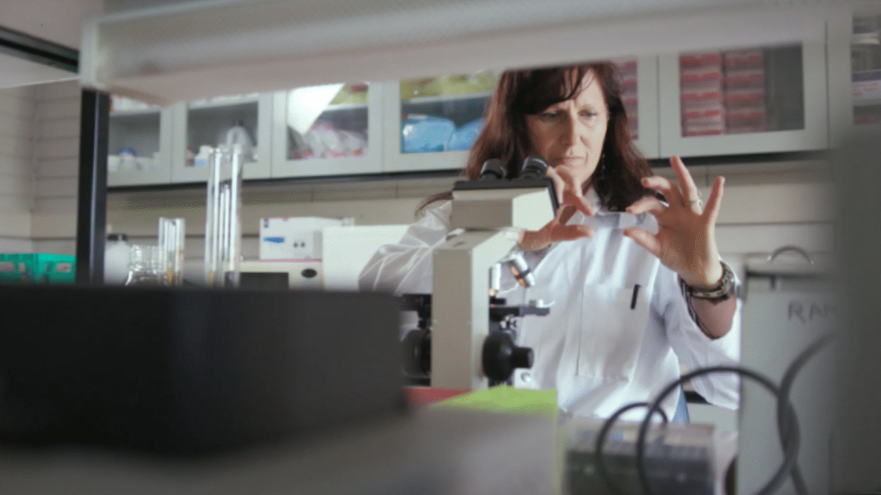 How Scientists Work - Airs 11:24 AM 26 Apr 2021 on ABC ME - ClickView