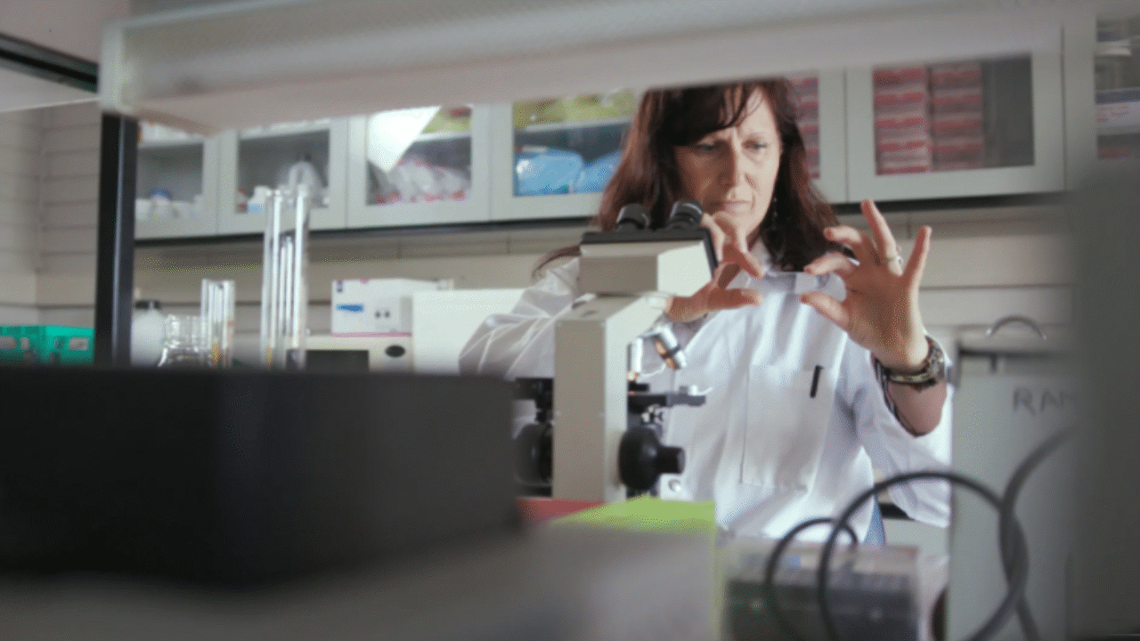 How Scientists Work - Airs 11:23 AM 3 May 2021 on ABC ME - ClickView