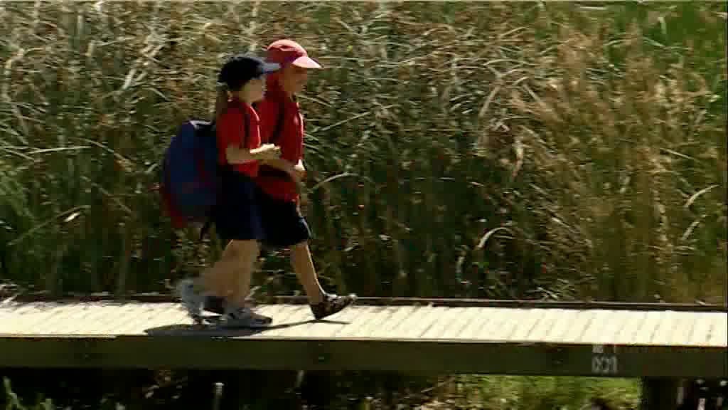 Clip: Take On Technology - The structure of bridges | ClickView