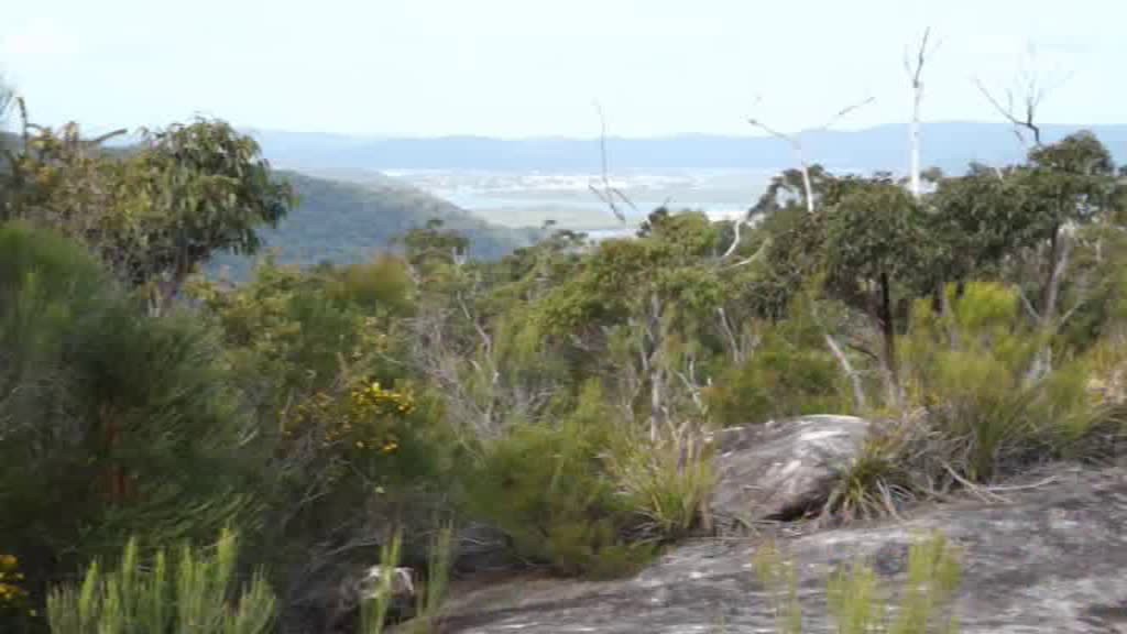 Dance - Malinga explores the work of Indigeno... - ClickView