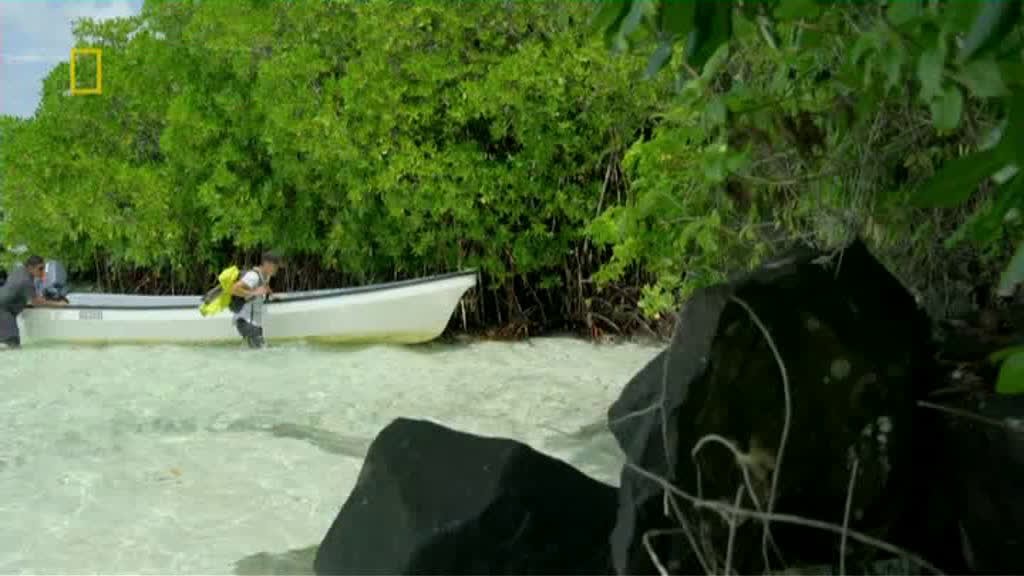 Lost Cities with Albert Lin - Ghost City of The Pacific - ClickView