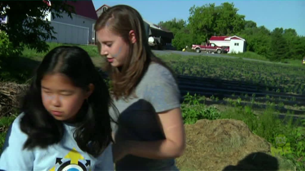 Look Kool - Spheres - Bubbles, bubbles everyw... - ClickView