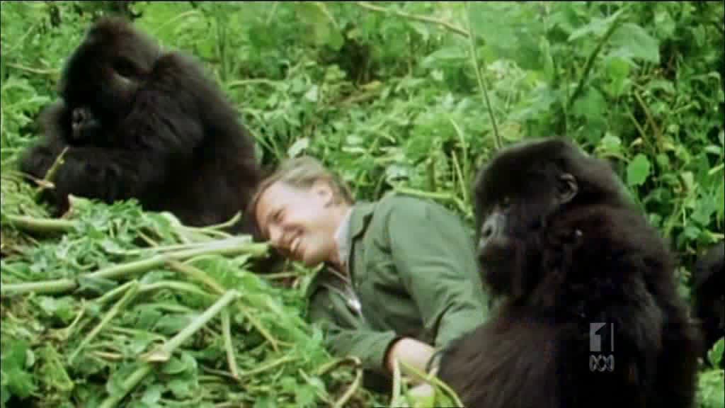 David Attenborough's First Life - Arrival - ClickView