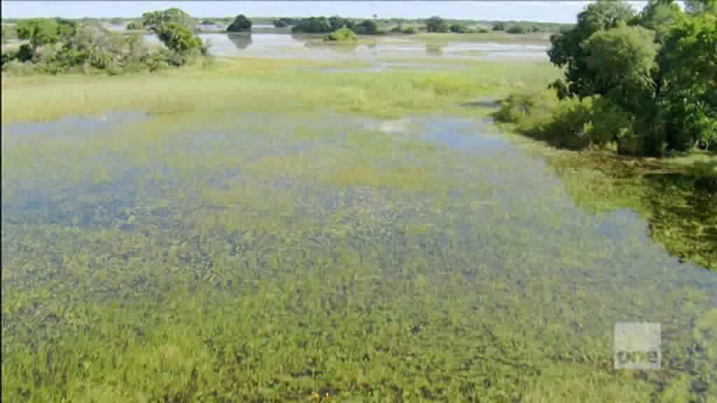 Nature's Great Events - The Great Flood - In... - ClickView