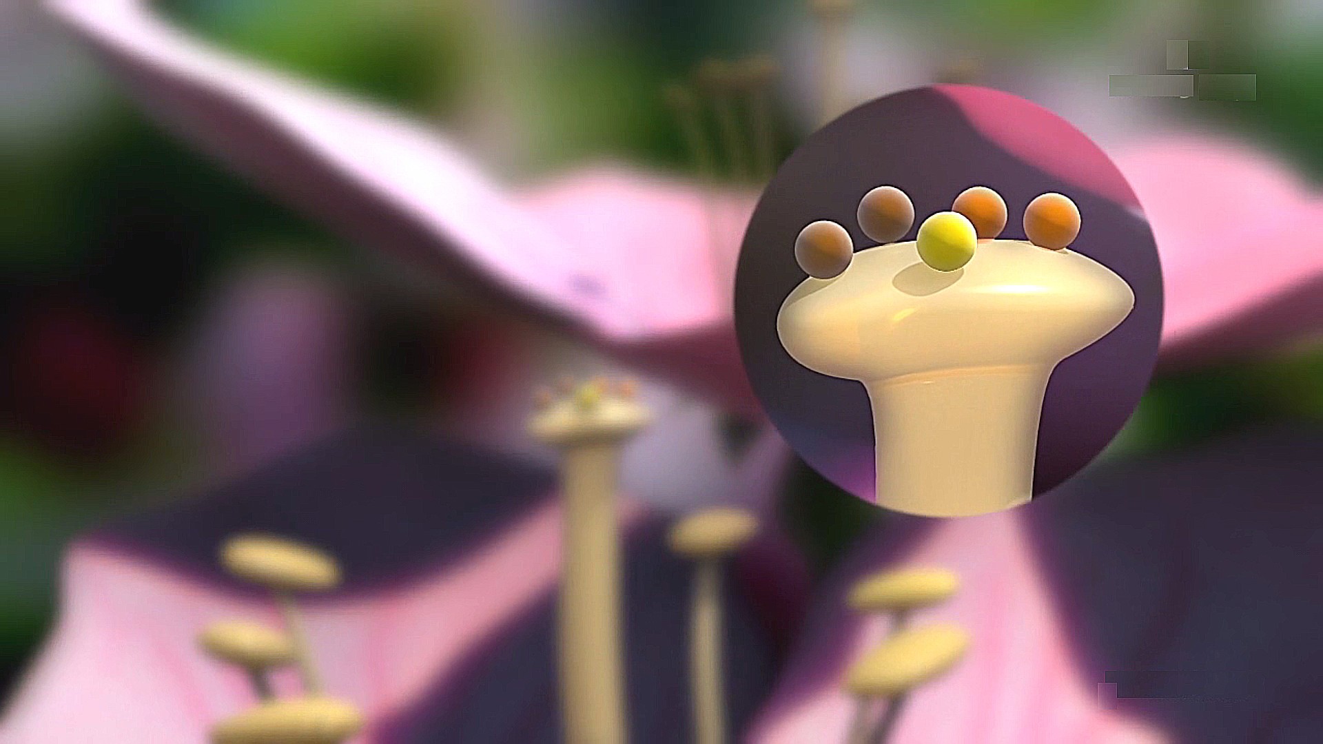 Embedded Online Player - ClickView