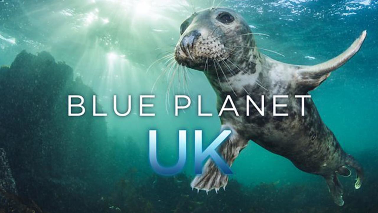Blue Planet UK - Airs 4:15 PM 18 May 2021 on BBC TWO - ClickView
