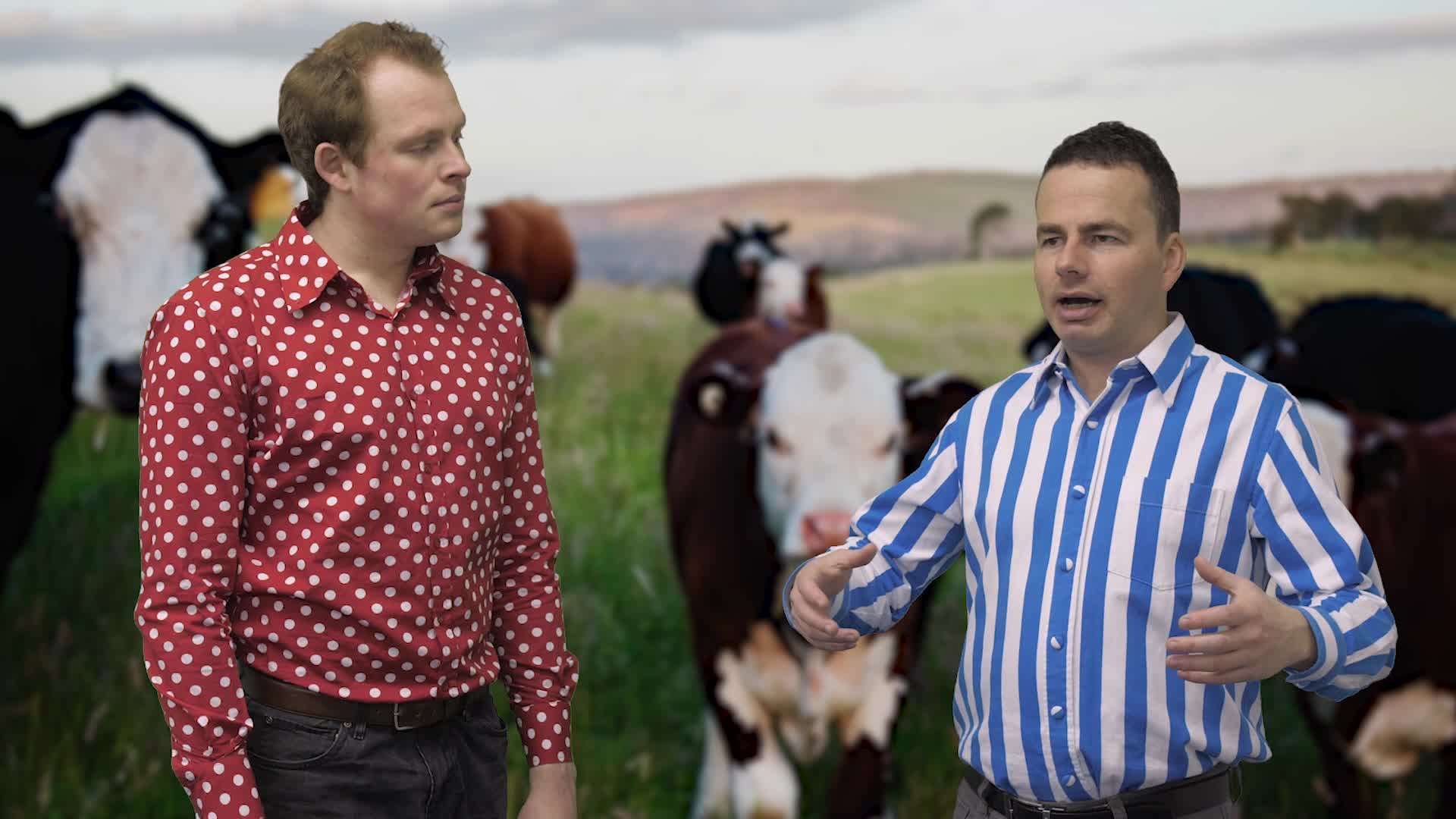 Moo! Video & Resources | ClickView