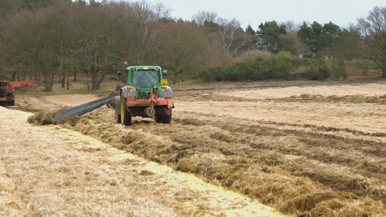 Down on the Farm Videos & Resources | ClickView