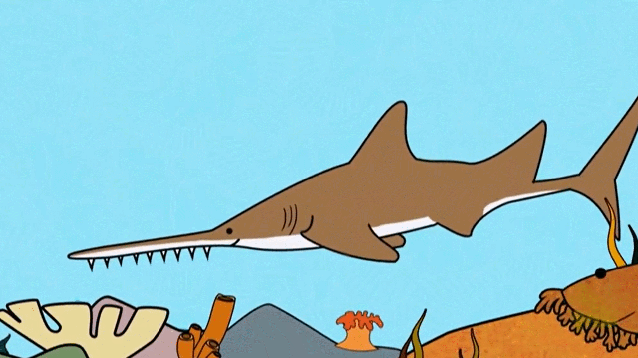 Here Is a Shark Video & Resources | ClickView