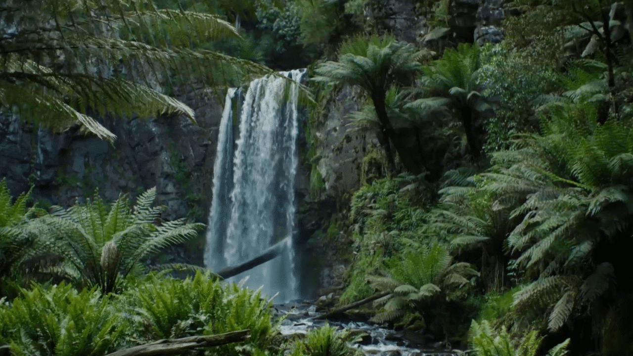 The Green Cauldron - In this visually stunnin... - ClickView