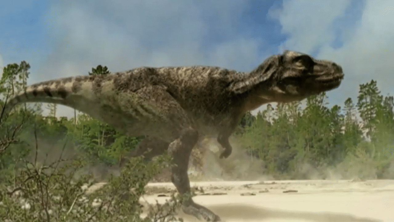 T-Rex and Pumice Stone Video & Resources | ClickView