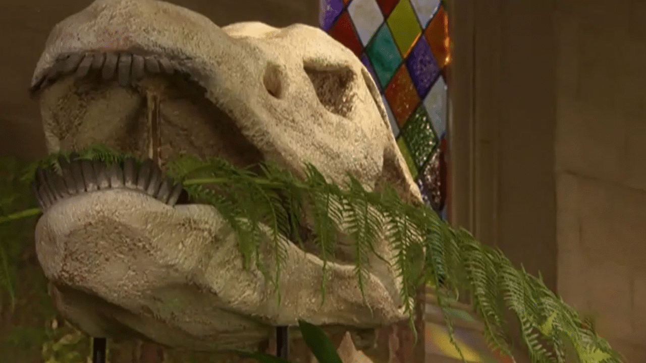 Andy's Dinosaur Adventures Videos & Resources | ClickView