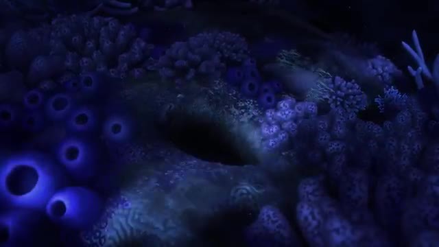 Finding Nemo - Coral's Death, pt.2 - ClickView