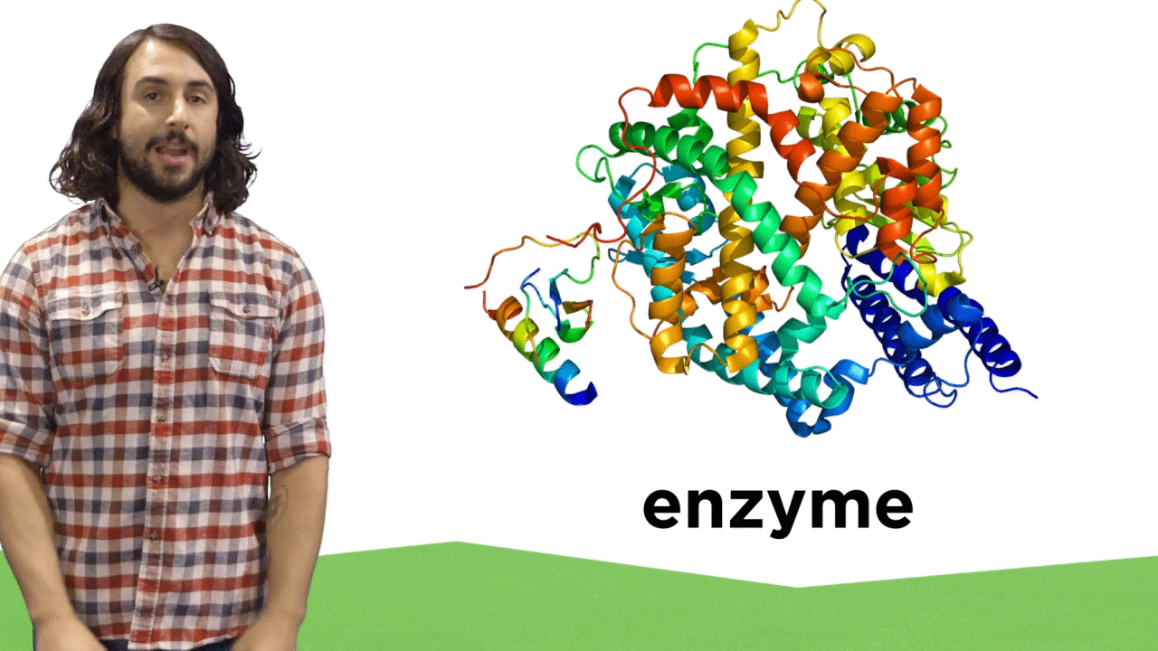 Professor Dave Explains Biochemistry | ClickView