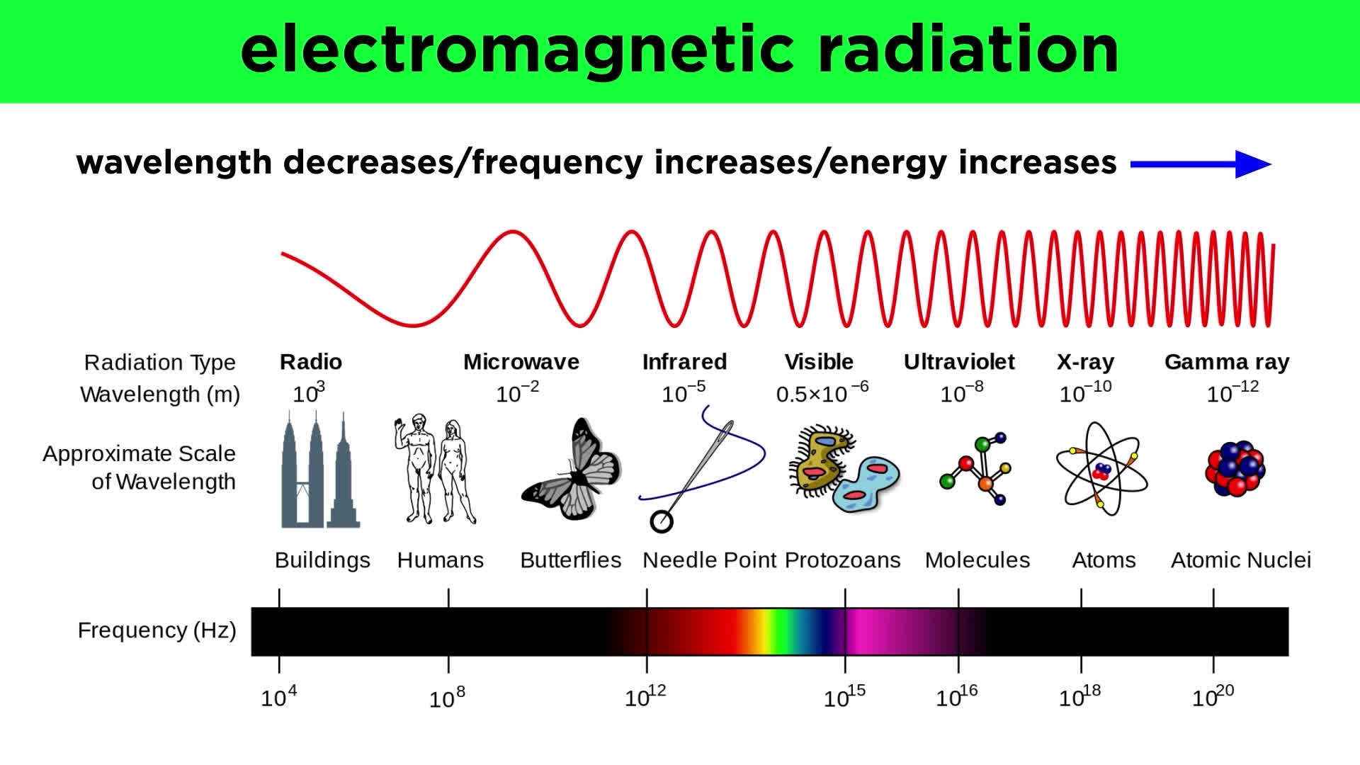 What Is Light? Maxwell and Electromagnetic Spectrum | ClickView