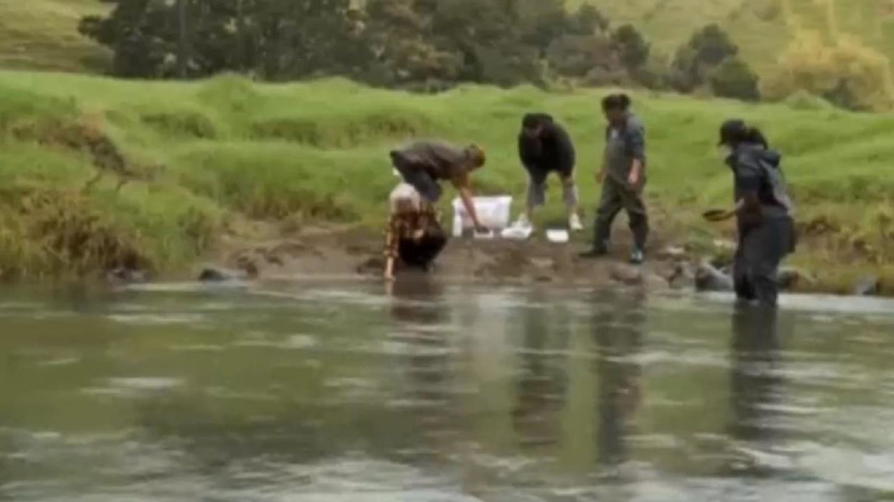 Utakura - Te Ropu Taiao o Utakura utilise sci... - ClickView