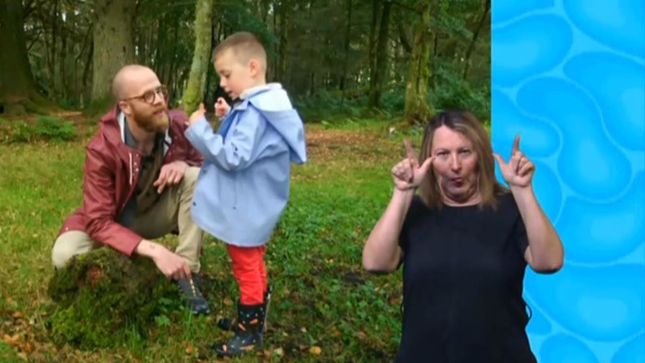 Ferne and Rory’s Teeny Tiny Creatures | ClickView