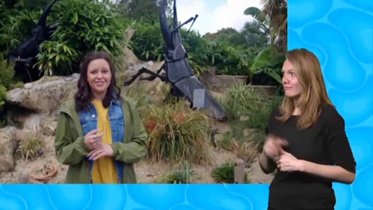 Ferne and Rory’s Teeny Tiny Creatures | ClickView