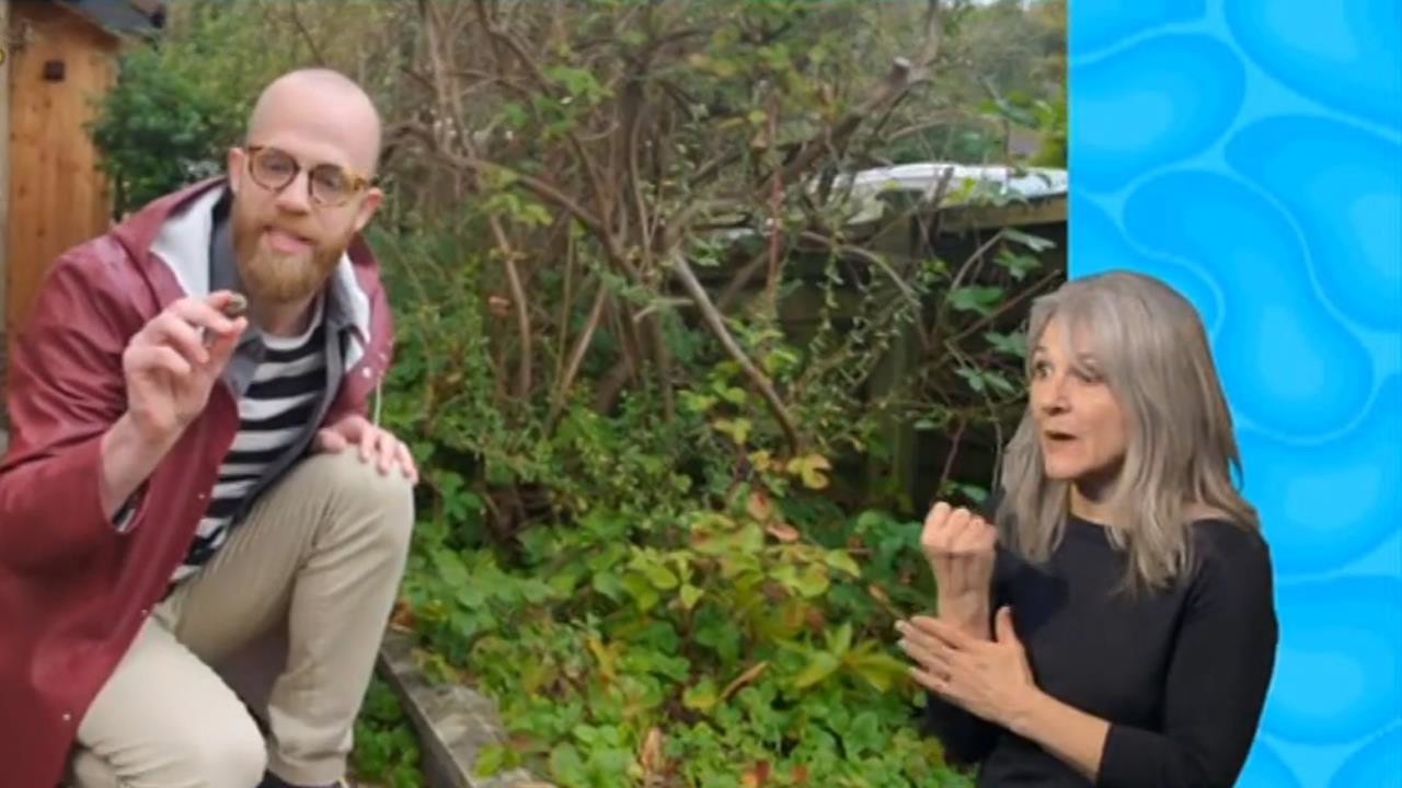 Ferne and Rory’s Teeny Tiny Creatures | ClickView