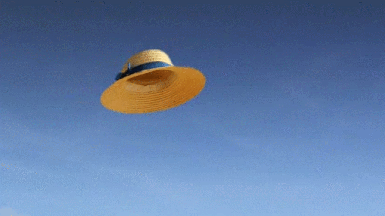 Summer Hat - A fly gets trapped under a straw... - ClickView