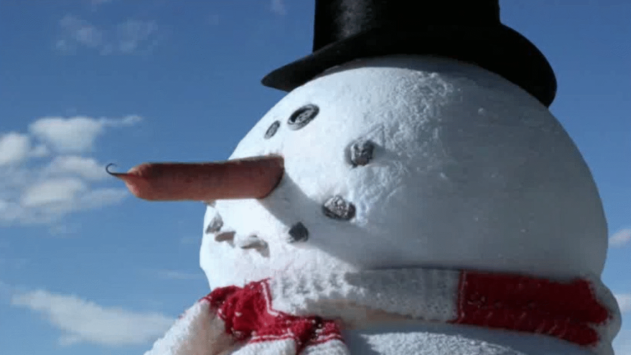 Snow Carrot Video & Resources | ClickView