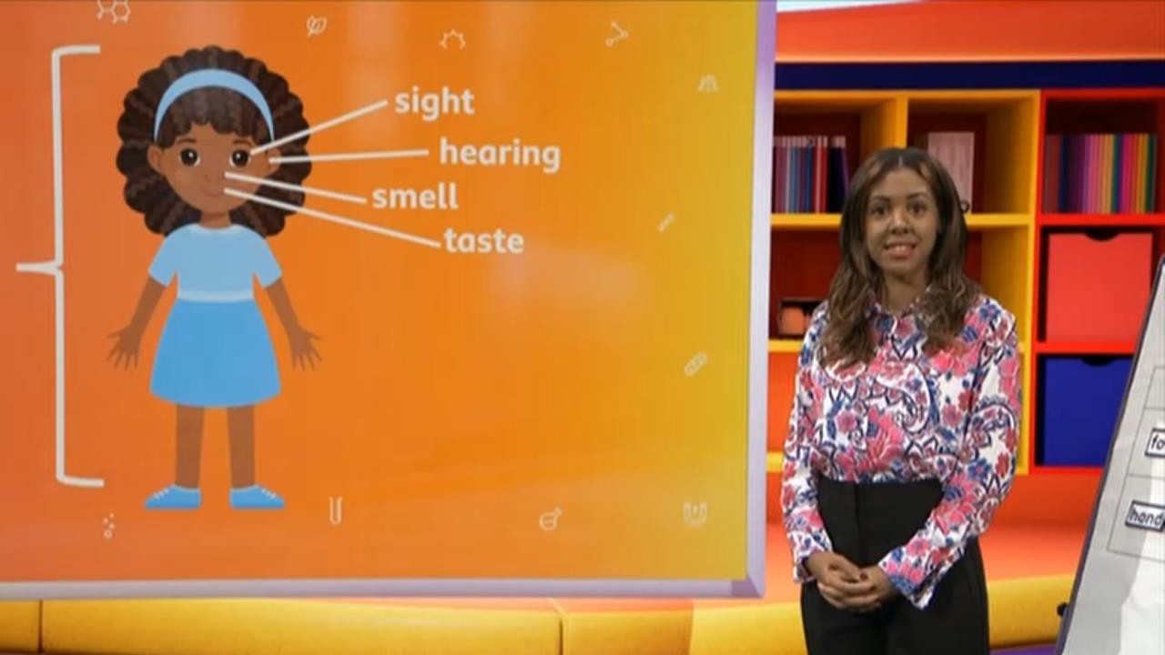 Human Senses Videos, Resources & Worksheets | ClickView