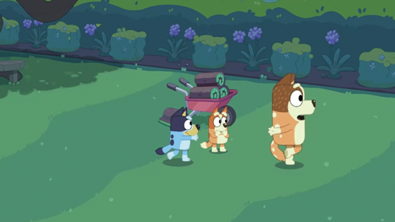 Magic Video & Resources | ClickView