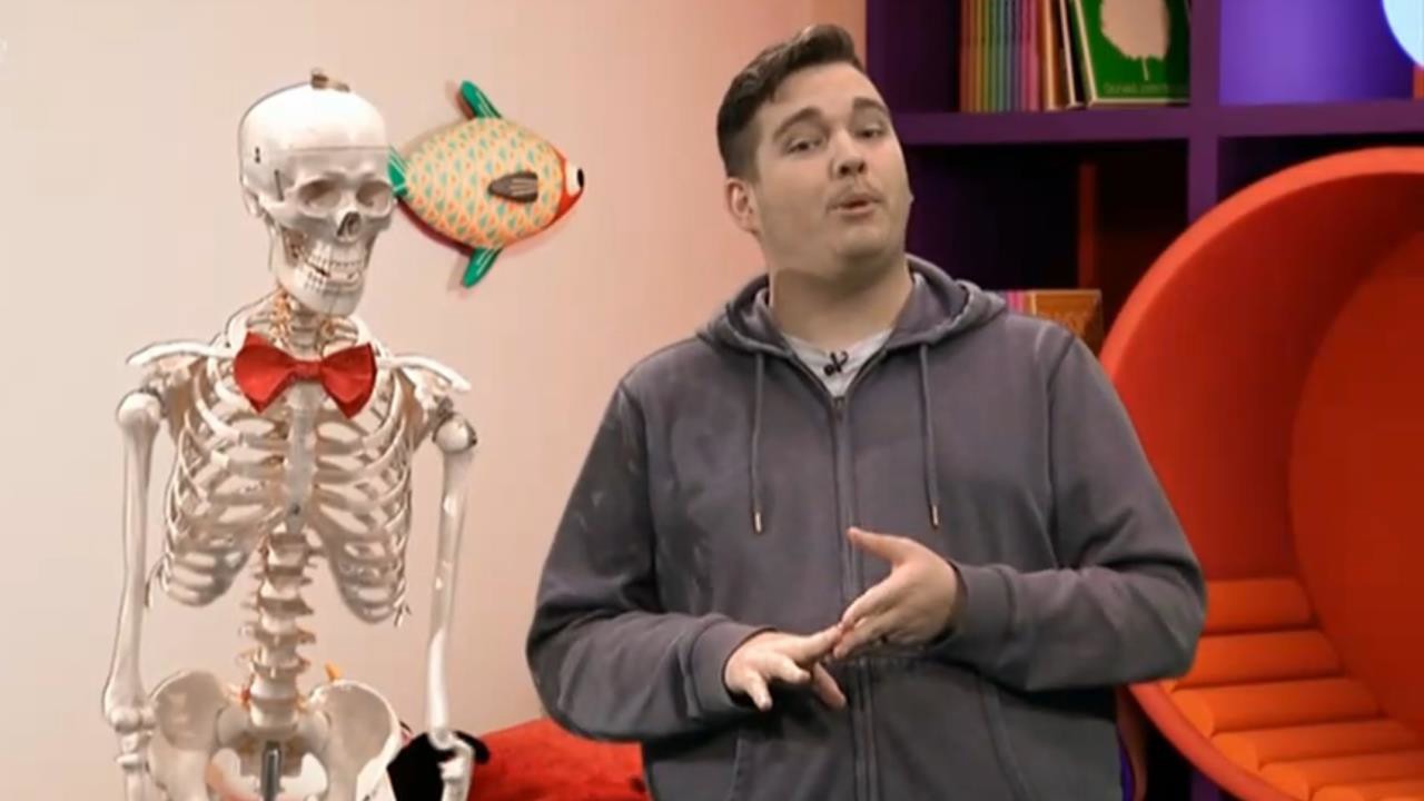 Musculoskeletal System | ClickView