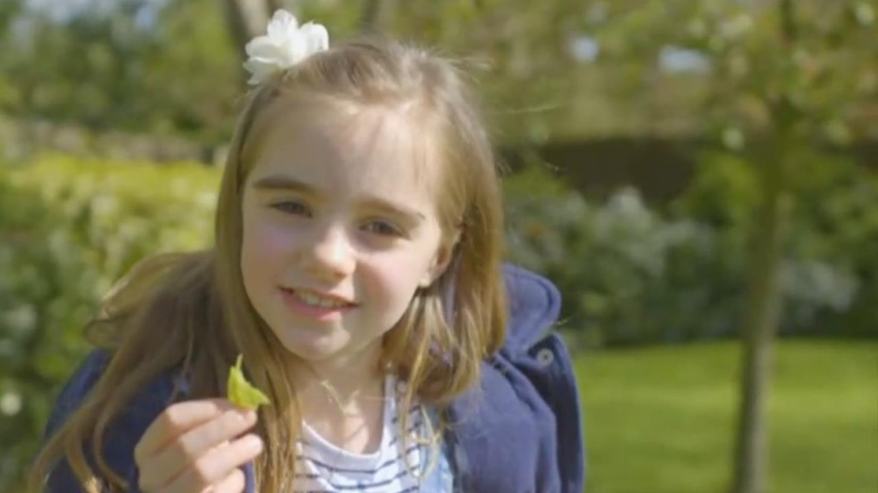 Naomi's Senegalese Mafe Fish Video & Resources | ClickView