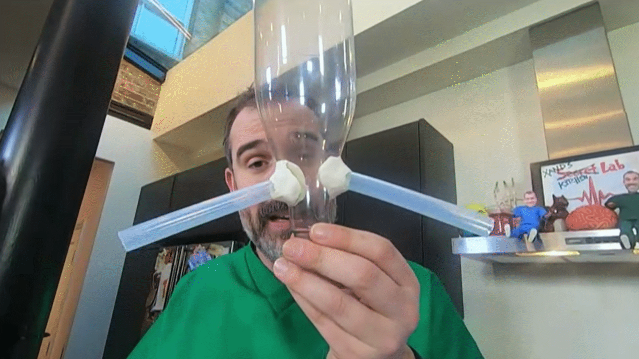 Urine Video & Resources | ClickView