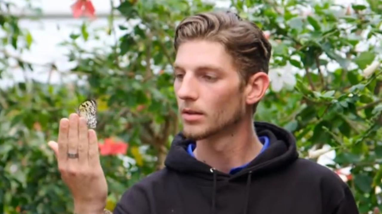 Ferne and Rory’s Teeny Tiny Creatures | ClickView