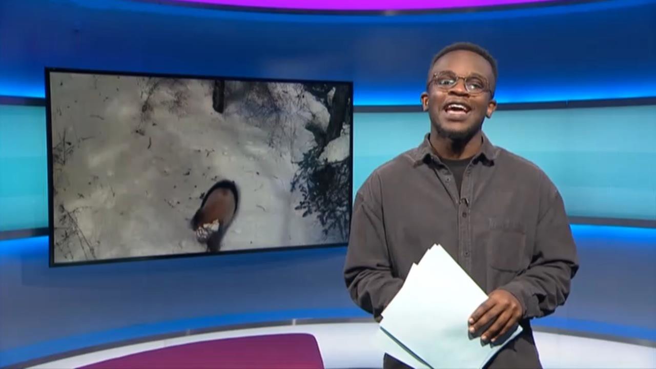 Panda Play: Snow Much Fun! - And from one cud... - ClickView