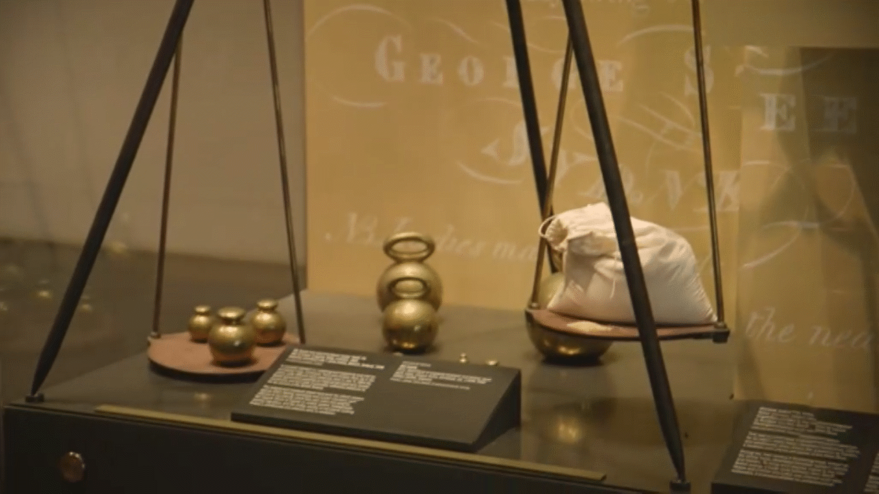 Making a Colony Video & Resources | ClickView