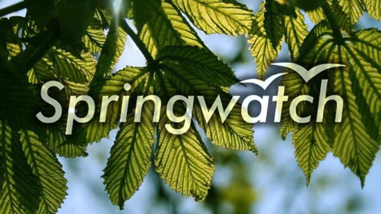 Springwatch - Airs 8:00 PM 30 May 2022 on BBC TWO - ClickView