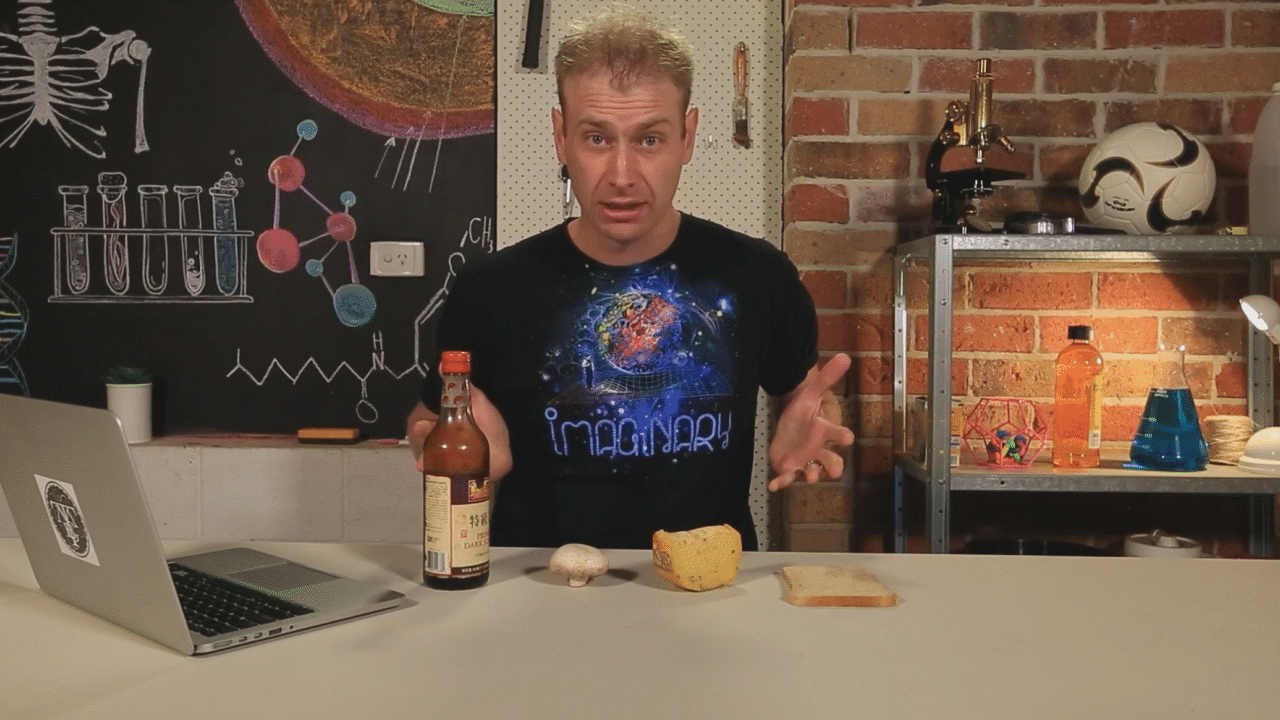 Feed the Fungus Video & Resources | ClickView