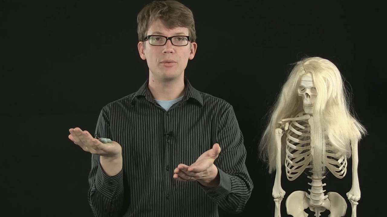 Complex Animals: Annelids and Athropods | ClickView