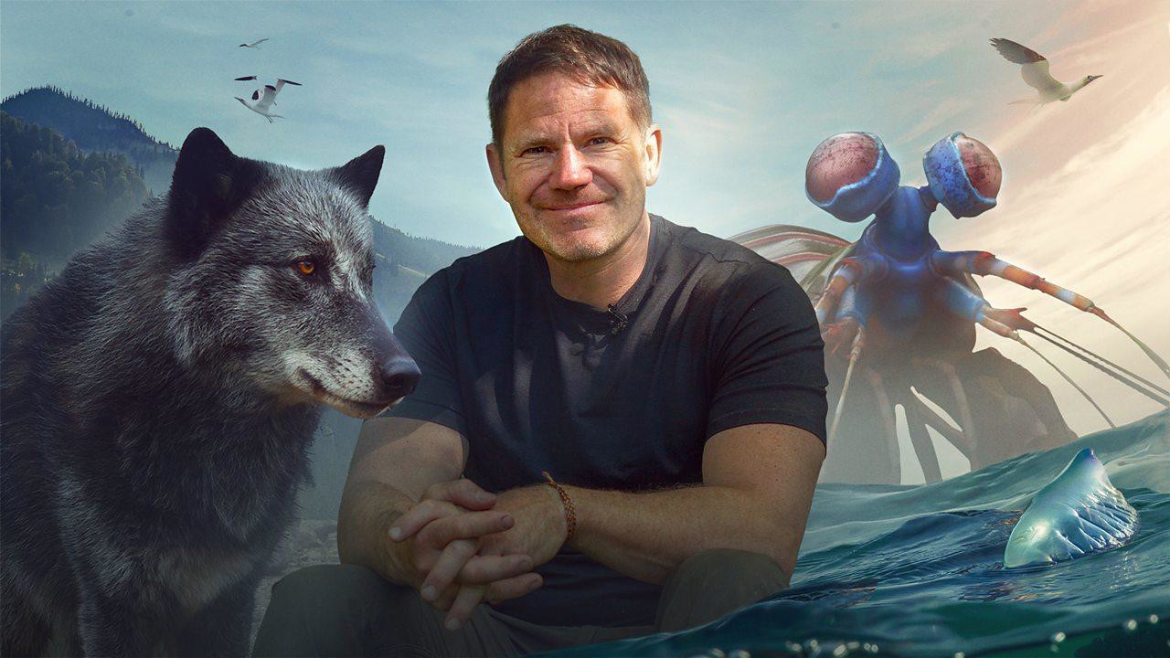 Deadly Predators: Ultimate Predator - Airs 7:55 AM 18 Jun 2022 on BBC ...