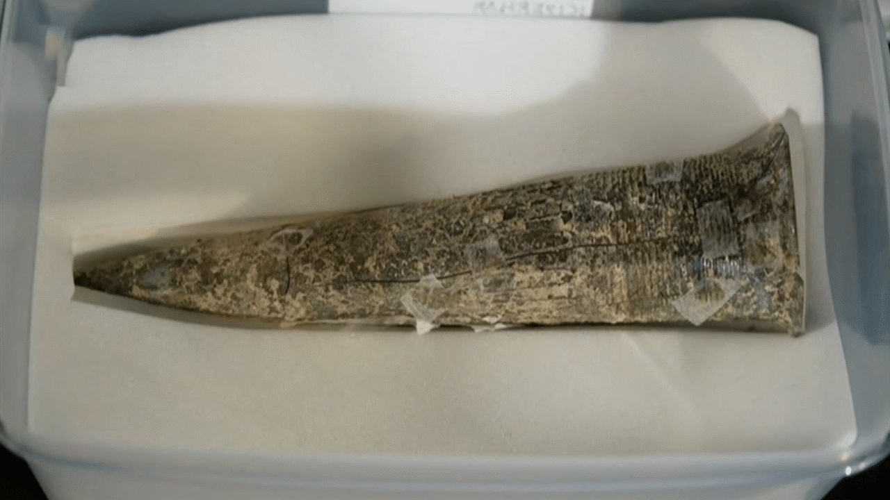 Anglo-Saxon: Largest Anglo-Saxon Discovery in Britain | ClickView