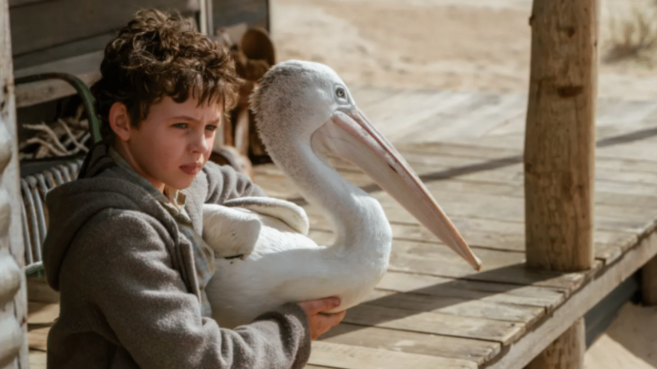 Storm Boy - Airs 7:30 PM 8 Jul 2022 on NITV - ClickView