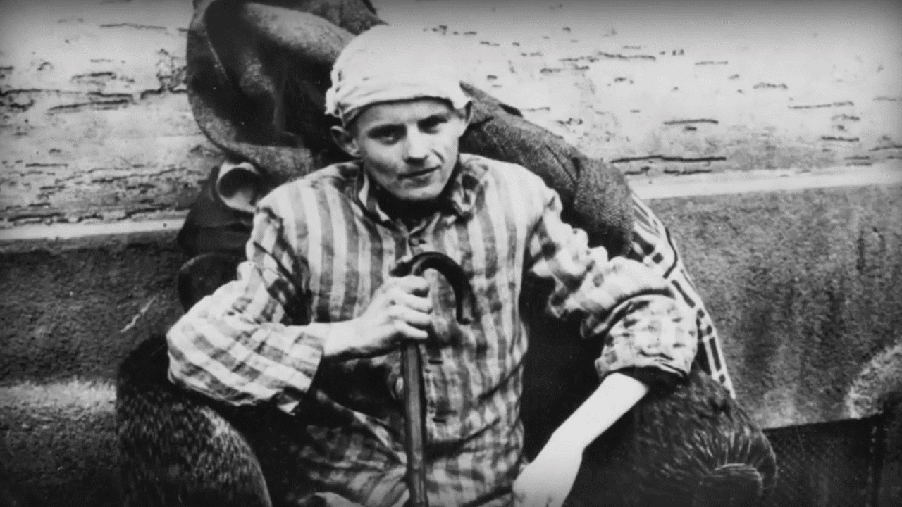 The Holocaust, Genocides, and Mass Murder of WWII - ClickView