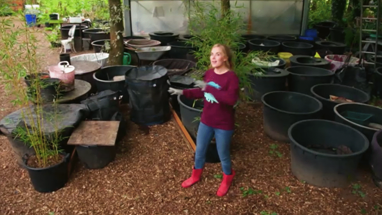 How Is It Made?: Compost Video & Resources | ClickView