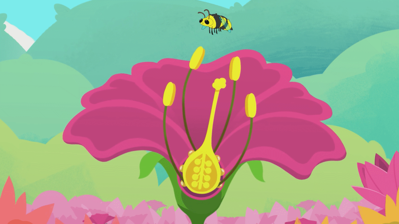 Plants Videos, Resources & Worksheets | ClickView