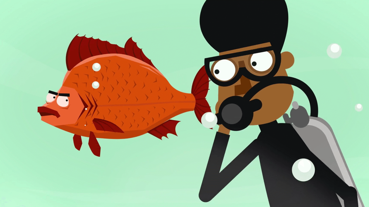 Fish and Marine Animals | ClickView