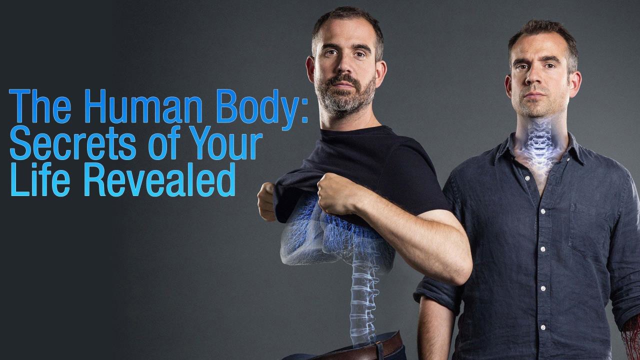 The Human Body: Secrets of Your Life Revealed - Airs 9:00 PM 7 Sep 2022 ...